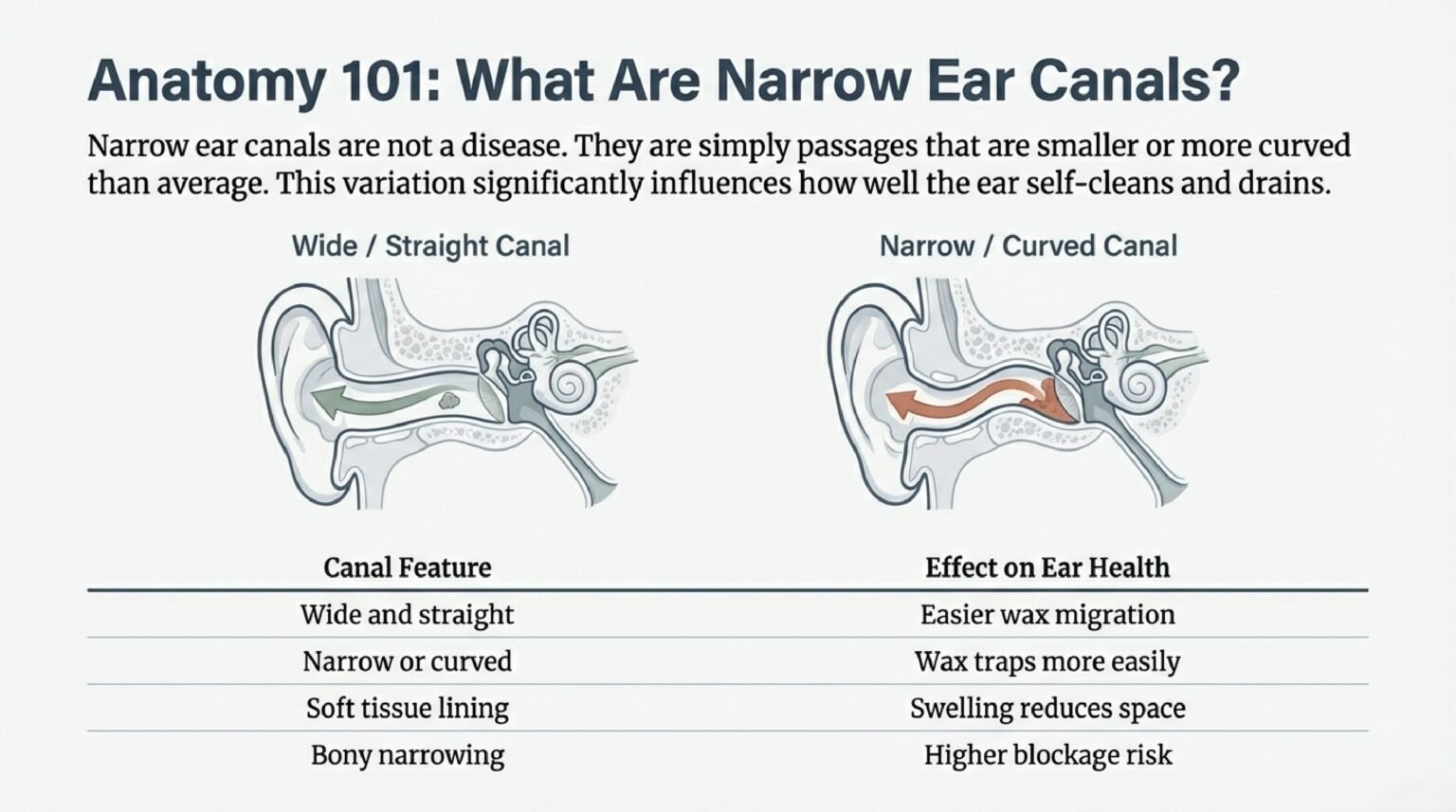 Narrow Ear Canals In Adults: Causes, Risks And Treatment | Dewaxify